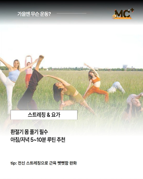 요즘 뜨는 토픽 - 가을바람 타고, 체력도 충전하자